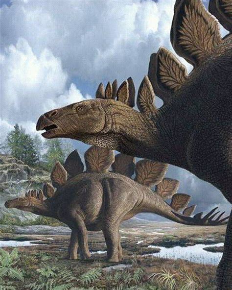 Wuerhosaurus Stegosaurid Dinosaur