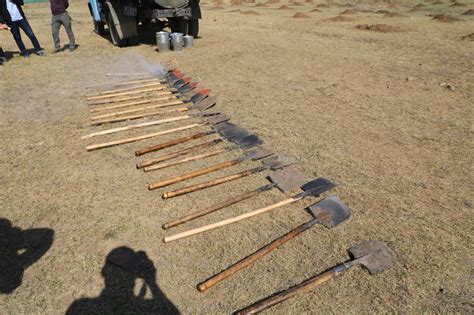 ФОТО Авлигатай тэмцэх газрын албан хаагчид Тэрбум мод үндэсний