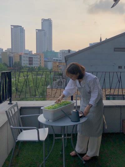 테라스에서 즐기는 홈캉스 식물 집사의 슬기로운 집콕생활 네이버 포스트