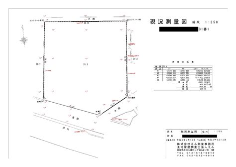 初心者でもわかる現況測量のやり方！境界の専門家がわかりやすく解説