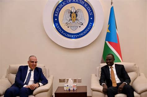 وزير الري مصر لا تدخر جهدًا لدعم شقيقتها جنوب السودان صور بوابة الأهرام