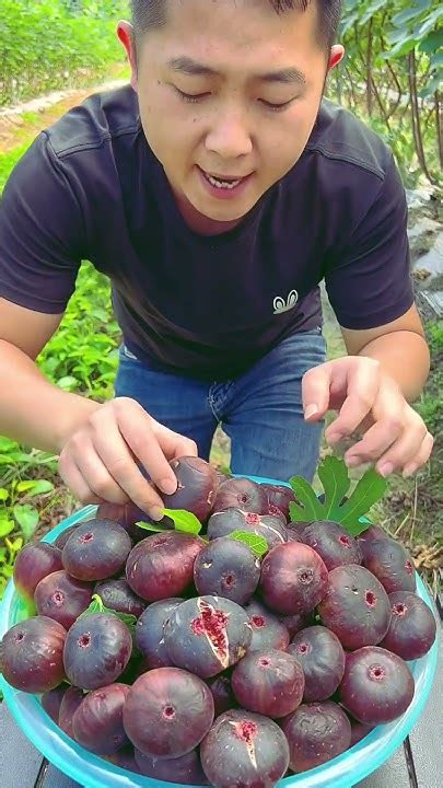 অনেক সুন্দর ফল।🌰very Beautiful Passion Fruit🔥 Fruit Shorts