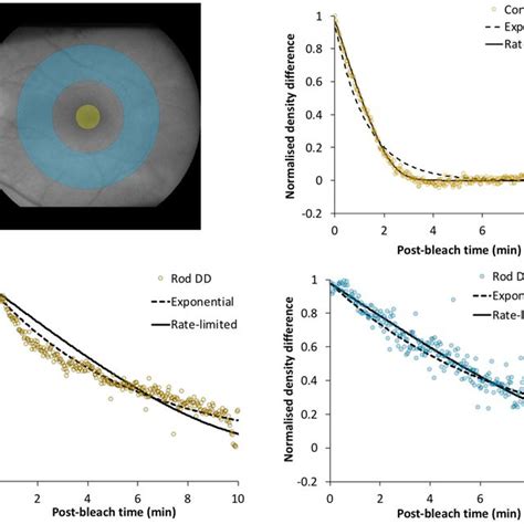 Densitometer Schematic And Initial Workflow Top Left Light From One