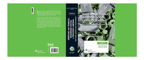 Seguridad Social Y Proceso Laboral