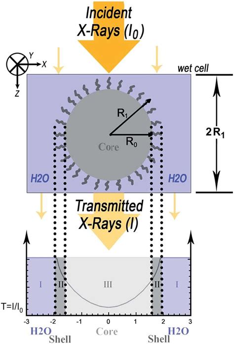 Top Schematic Model Of A Spherical Microgel Particle Consisting Of A