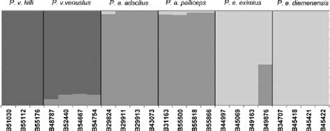 Results Of A Structure Pritchard Et Al 2000 Clustering Analysis Of