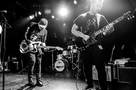 Photography Teen Suicide With Flycatcher And Ogbert The Nerd The Alternative