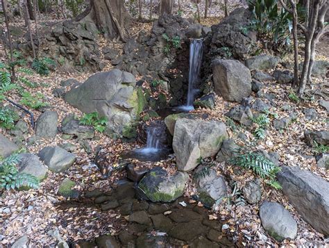 甘泉園公園 新宿区の湧き水 東京湧水 湧水をもっと身近にもっと面白く