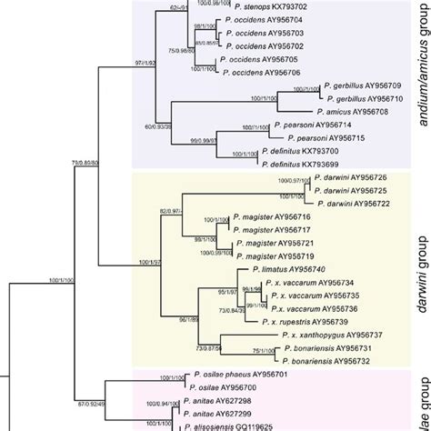 The Tree Resulting From The Maximum Likelihood ML Analysis Bayesian