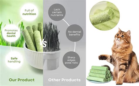 Kcrpm Berdexa Cat Grass Teething Sticks Chew Sticks For