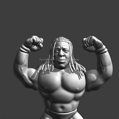 Файл 3d Wwf Wwe Costum Kingbooker・Модель для загрузки и печати в