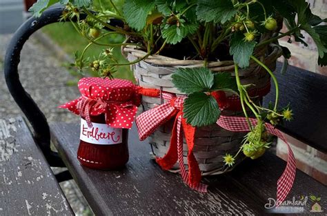 Container Gardening Strawberries Potted Plants How To Grow