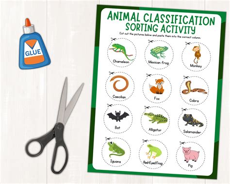 Animal Classification Sort Mammals Reptiles And Amphibians Sort
