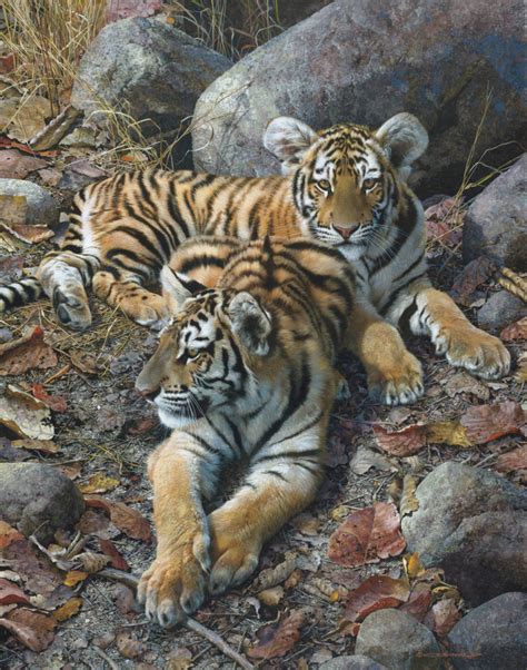 The Art Of Carl Brenders Picture This Gallery Edmonton Region Sherwood Park Art Gallery