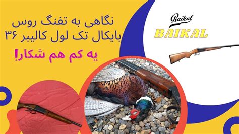 بررسی تفنگ تک لول بایکال کالبیر۳۶ و باز هم شکار Youtube
