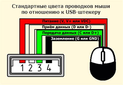 Виды подключения мыши