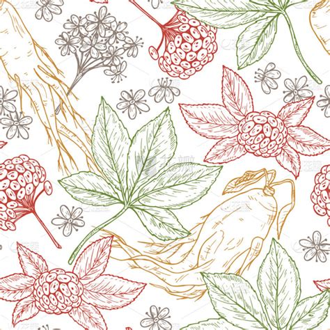 人参 替代医药 四方连续纹样 背景 绘画插图 叶子 根部 矢量 草药 花