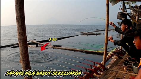 MANCING JATILUHUR TERBARUPESTA STRIKE DI SARANG NILA BADOT SEKELUARGA