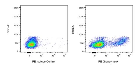 Pe Mouse Anti Human Granzyme A