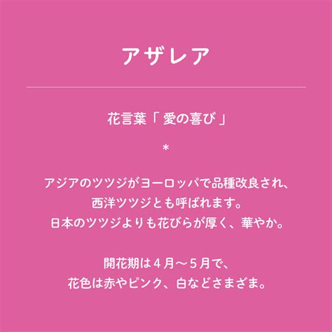 とわ🌤️ On Twitter Rt 543life 今日の誕生花は「アザレア」。 花言葉は「愛の喜び」です。 アジアのツツジが