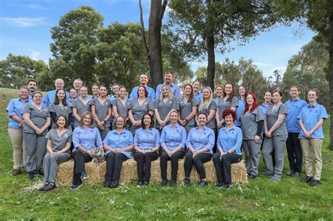 Geelong Veterinary Hospital Geelong Veterinary Hospital