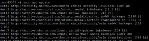 Step By Step How To Install Magento 24x On Ubuntu With Elasticsearch