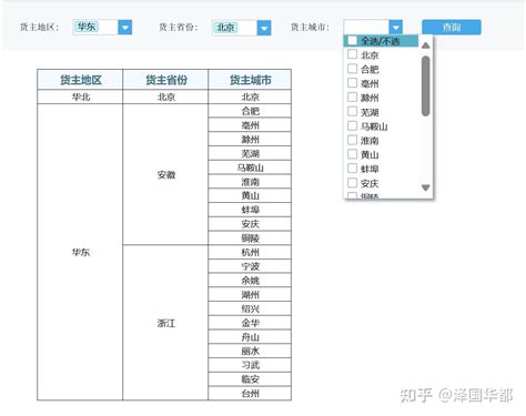 FineReport 4参数查询 知乎