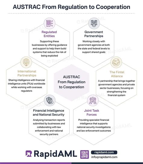 Aml Software Rapidaml