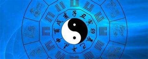 1995年五行属什么大众健康网