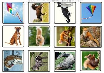 Features Of Things ABA Autism DTI Speech ELL SEL Early Intervention