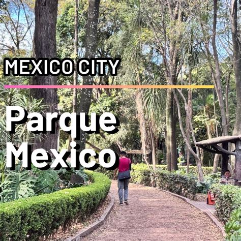 The Ultimate Guide Of Things To Do In Parque México Condesa Vitepresenta