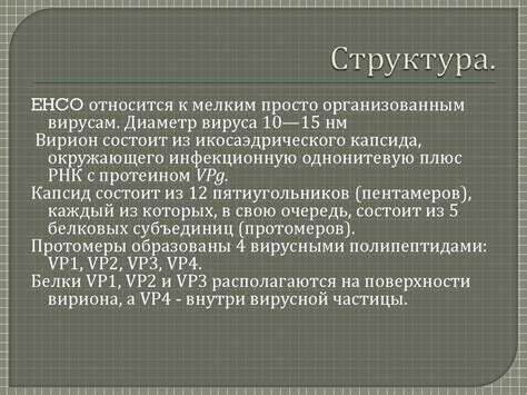 Вирус Echo презентация онлайн