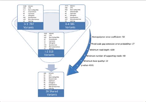 Filtering Strategy Of Variants Identified In 3 Family Affected Members Download Scientific