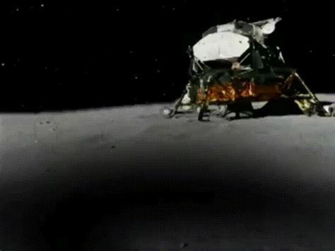 Insanity  On Imgur