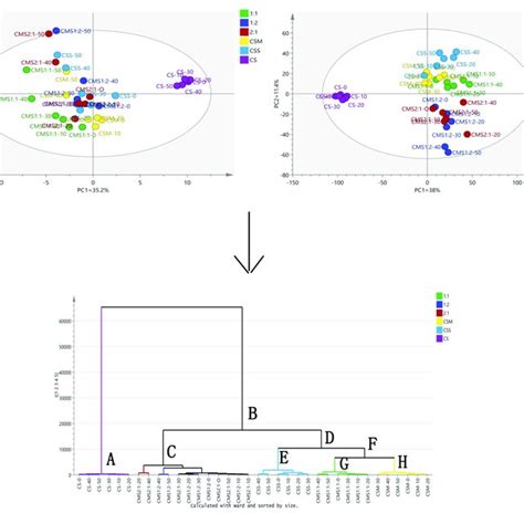 Principal Component Analysis Orthogonal Partial Least Squares