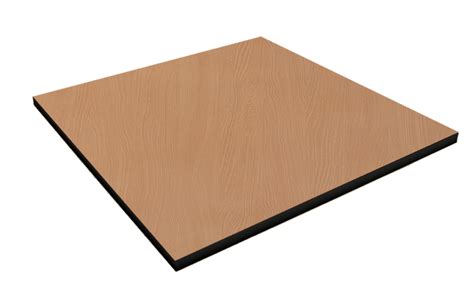 Stylam Weeping Beech