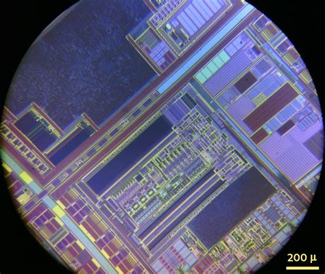 Posts By Upumamicroscope ・ Popularpics ・ Viewer For Reddit