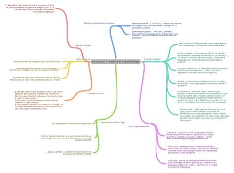 Introduction à Lanatomie Et à La Physiologie Coggle Diagram