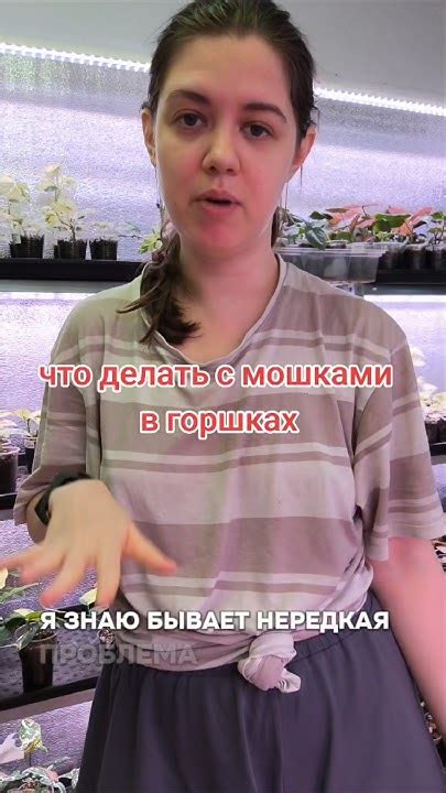 А как вы от них избавились Plants цветы растения вредители мошки