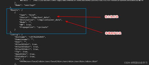 04 Docker 容器数据卷docker Rw Csdn博客