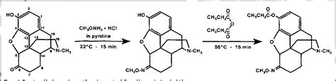 Figure 1 From Gc Ms Confirmation Of Codeine Morphine 6 Acetylmorphine