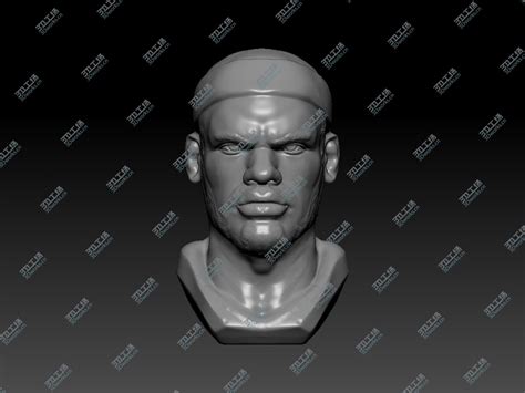 勒布朗k詹姆斯 3D打印模型下载 3D工场 3Dworks cn
