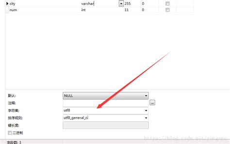 Mysql做insert 插入 报错 Incorrect String Value Xe8xa5xbfxe5xaex89 For Column City At Row 1