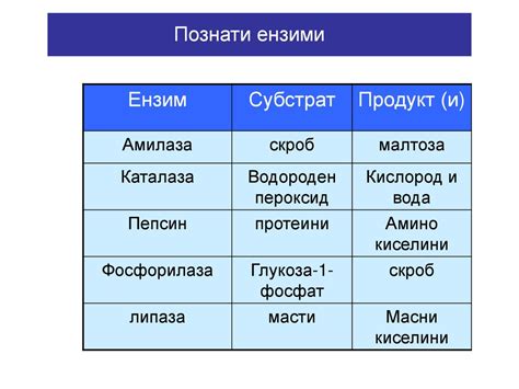 ЕНЗИМИ Што е битно да изучиме во оваа лекција Ppt Download
