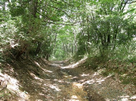 絹の道資料館・絹の道｜｜観光情報サイト いこうよ八王子・高尾山
