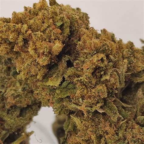 Boutique CBD Mosticos Magasin CBD bio à prix grossiste légal en France