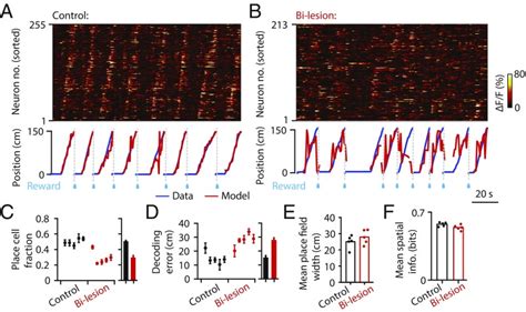 Hippocampus Dependent Emergence Of Spatial Sequence Coding In