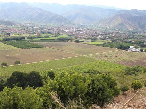 Carnaval de la uva y el vino 2022 Fecha lugar y programación