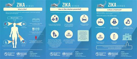 Ecosoc Briefing On The Zika Virus United Nations Economic And Social