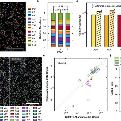spatial patterns of the root colonized microbial communities at single